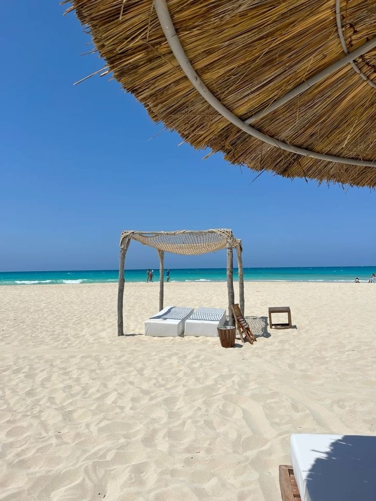 From Pyramids to Paradise: Cairo & North Coast Experience - Vibes
